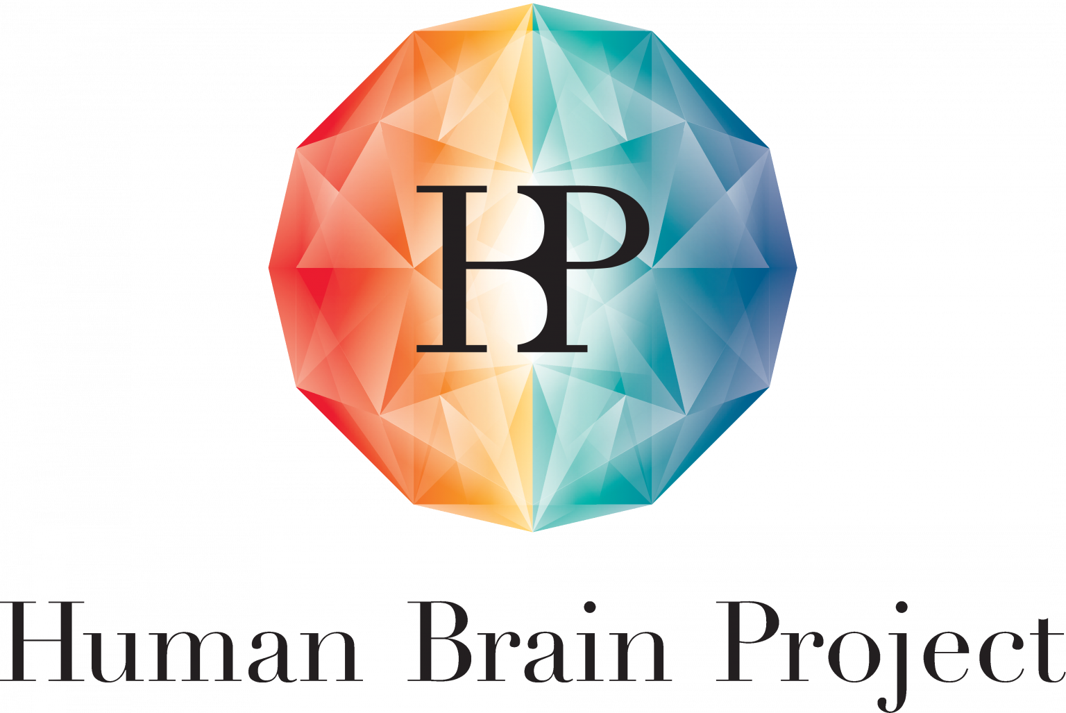 Human Brain Project - The Danish Board of Technology