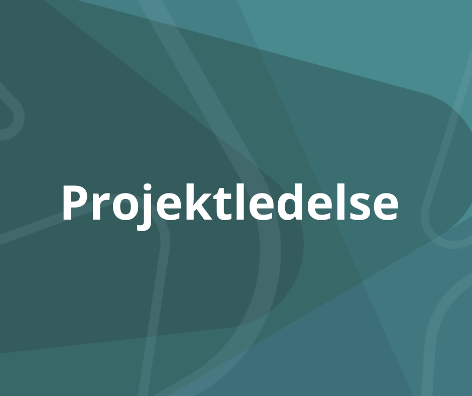 Projektledelse - Teknologirådet